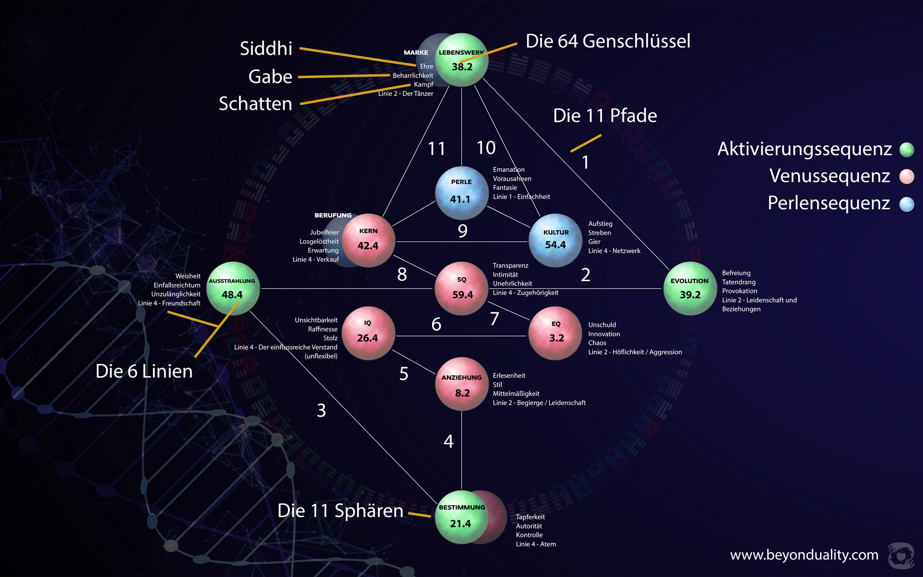 Gene Keys für Einsteiger + Tools!
