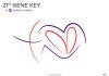 Gene Key 21 – From Control To Valor [Gene Keys 21]