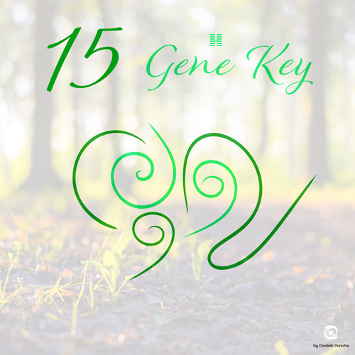 64 Gene Keys Contemplation - Including Energy Symbols