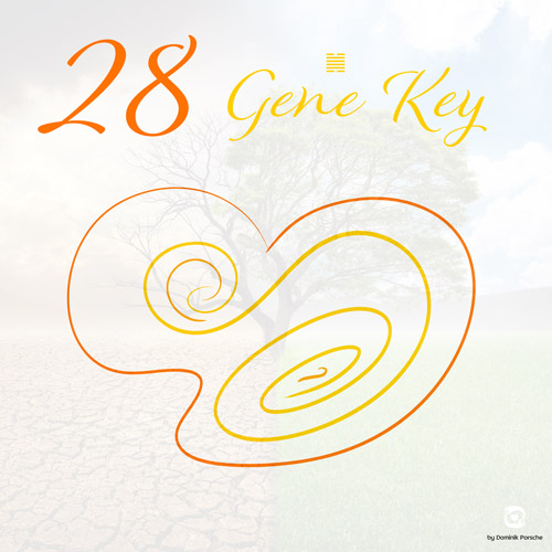 64 Gene Keys Contemplation - Including Energy Symbols