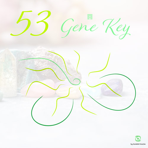 64 Gene Keys Contemplation - Including Energy Symbols